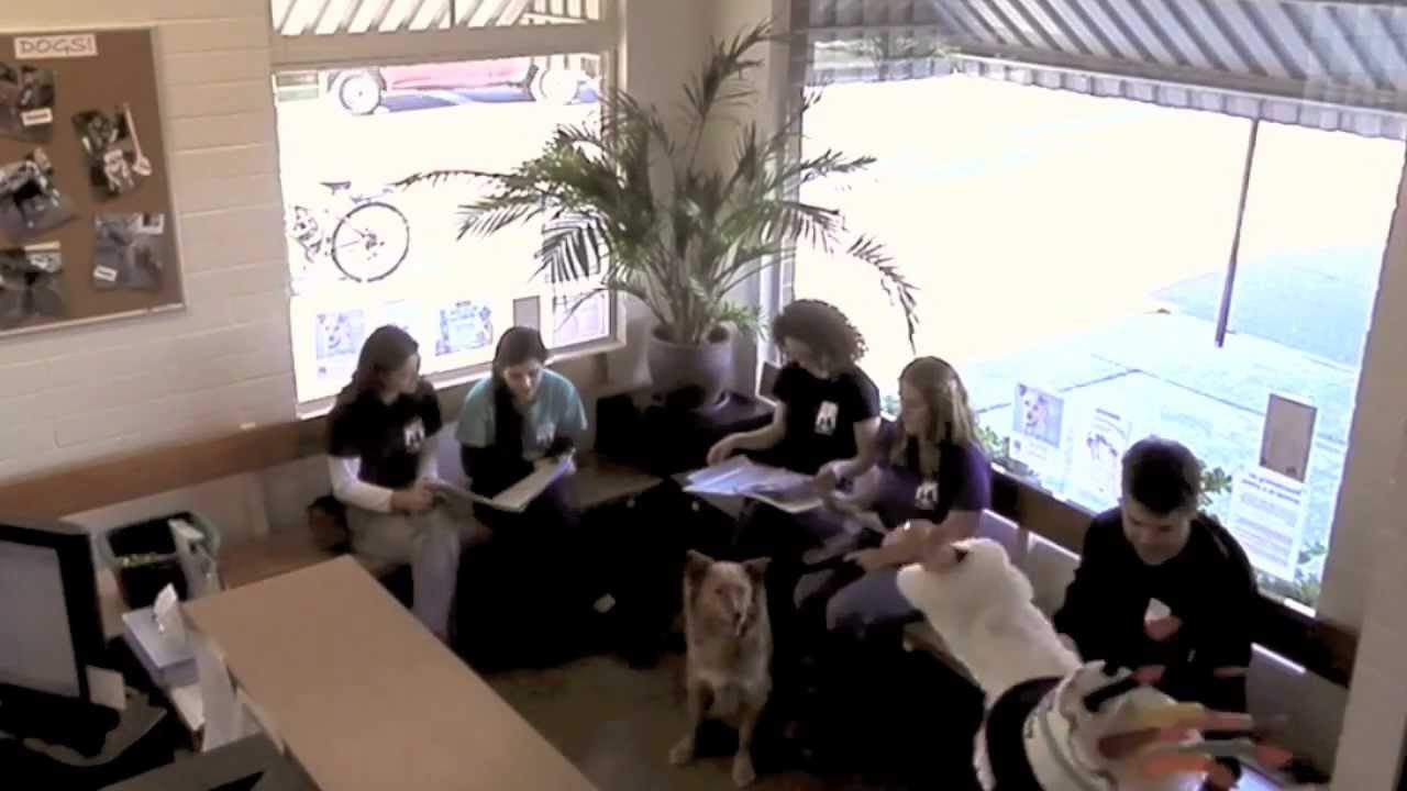 Berkeley Humane Harlem Shake