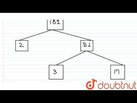 Draw factor tree for the following: 102 | CLASS 6 | PLAYING WITH NUMBERS | MATHS | Doubtnut