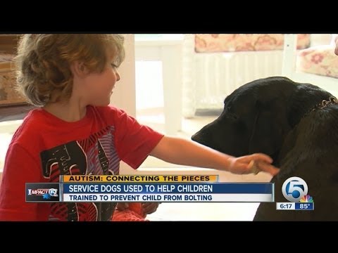 Service dogs can help families with children on the autism spectrum