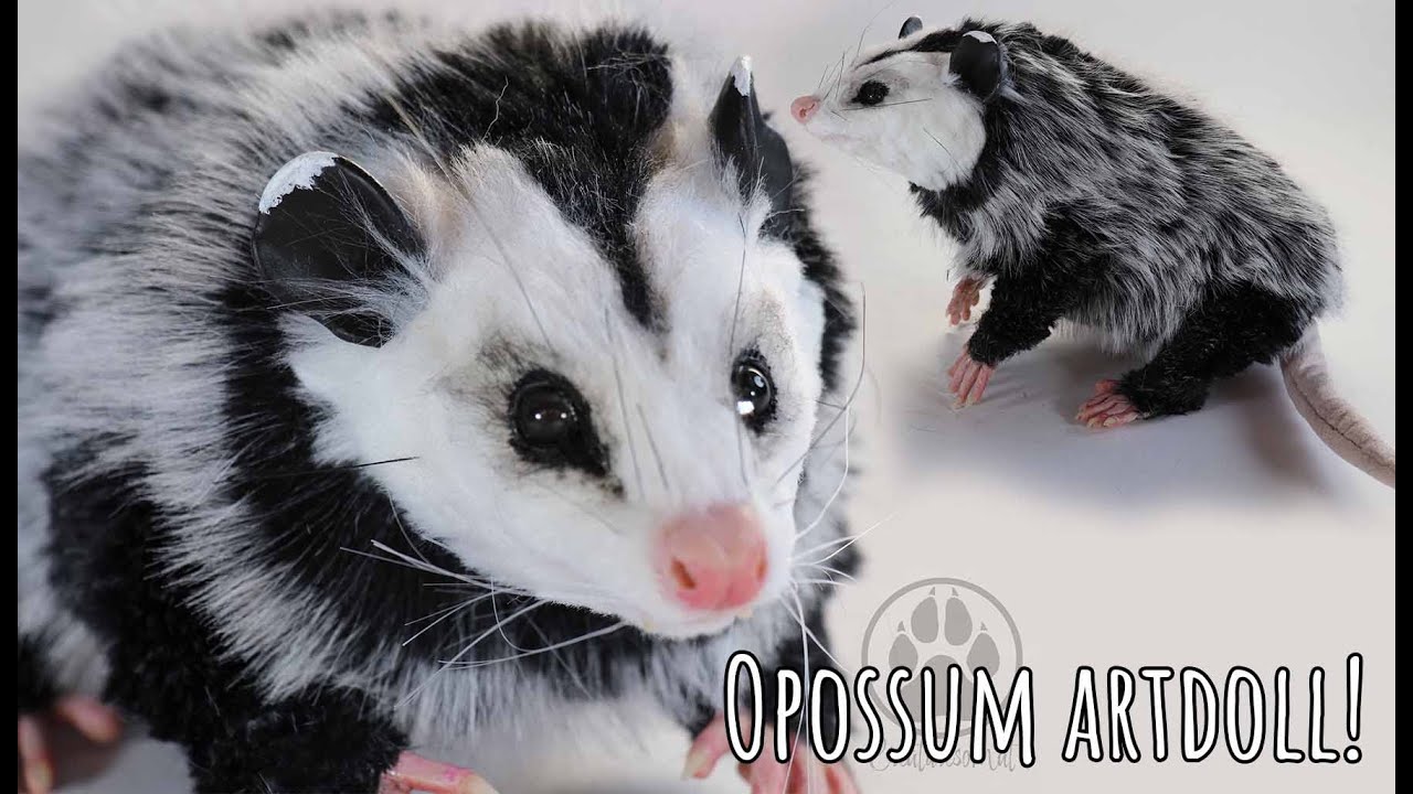 I Made an Opossum!