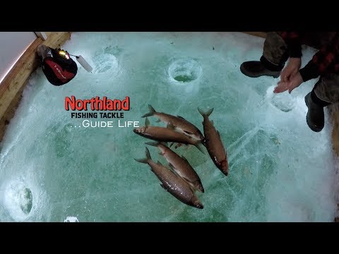 A Fishing Guides Life in Green Bay, Wisconsin