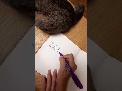 Let's write "Hello" in Japanese.