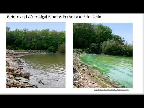 Algal Bloom Action Team August 2022 Webinar - Removal of Cyanobacteria Blooms
