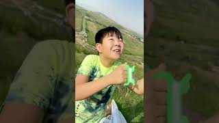 Dad saved a kite ???????? LeoNata family #shorts TikTok