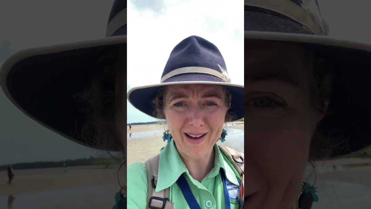 Intertidal wetland, Darwin #fieldwork #mangroves #geographyteacher #geography