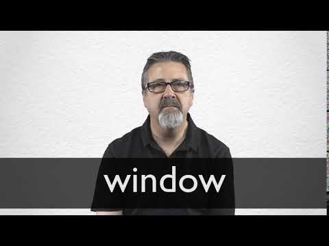 WINDOW Synonyms | Collins English Thesaurus