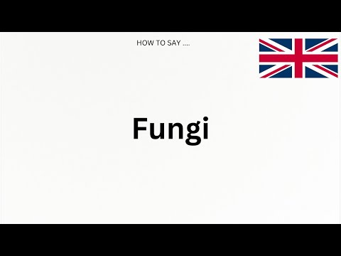How to pronounce Fungi | English guide pronunciation