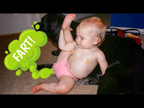 Funny Baby Videos Compilation That You Can't Miss!!