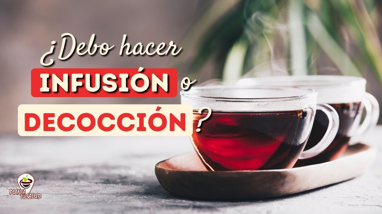 ¿Debo hacer infusión o decocción?