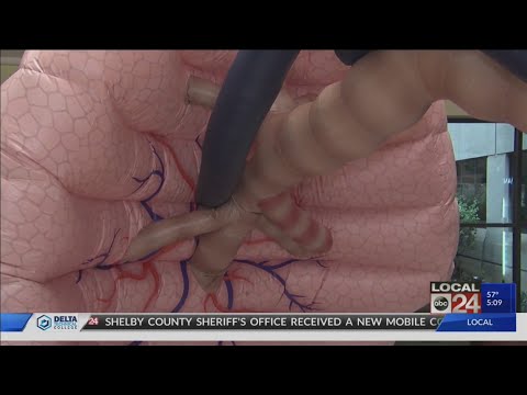 Mega Lungs exhibit at Baptist Cancer Center highlights lung cancer concerns in the Mid-South