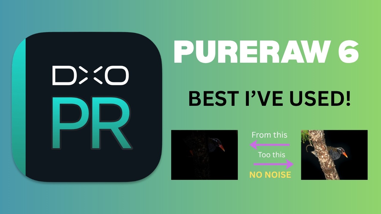 DxO PureRAW 6 | Smaller Files / Dust Spots / Underexposed Photos - NO PROBLEMO!!