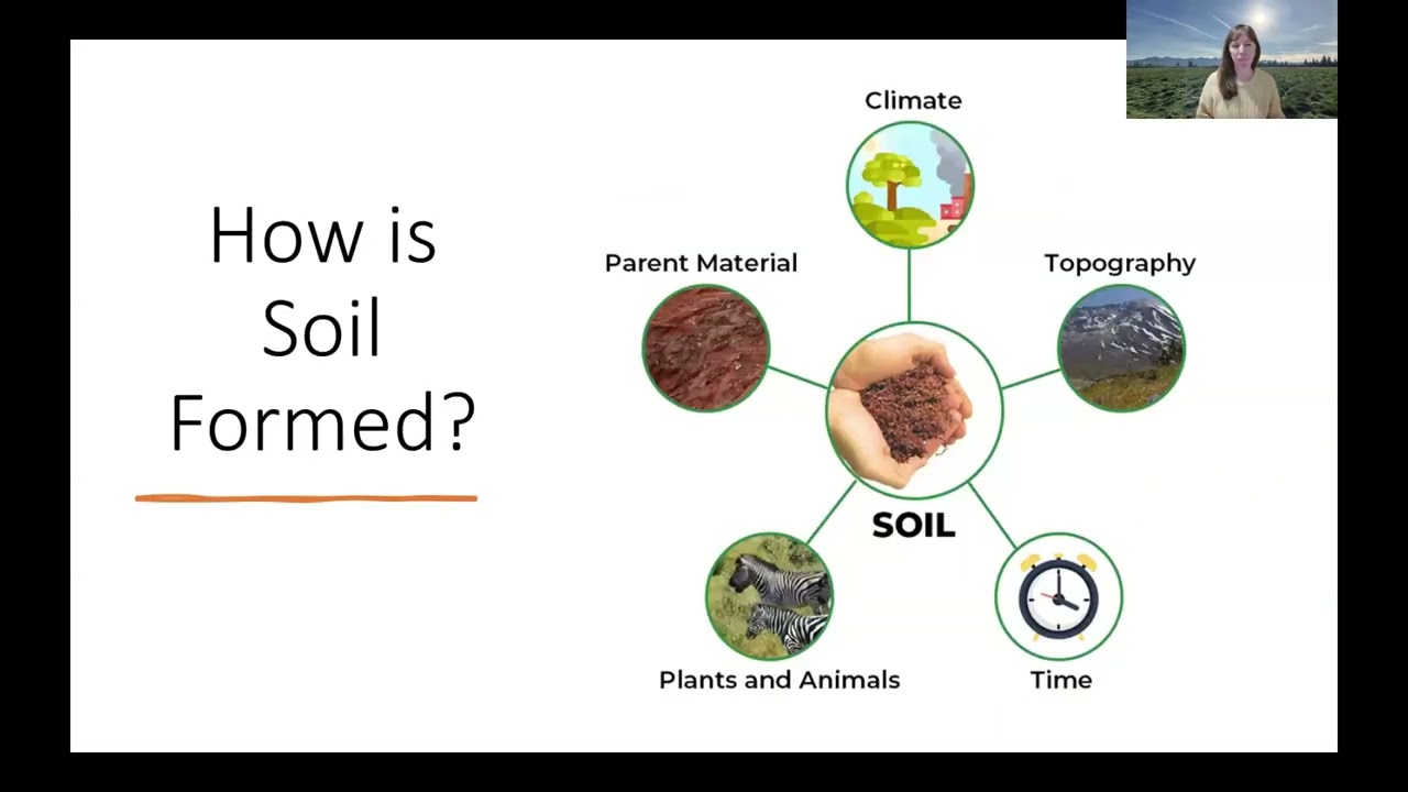 Gardening Practices for Soil Health