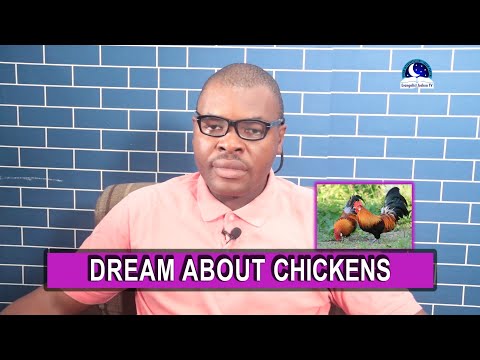 DREAM OF CHICKEN - Evangelist Joshua Dream Dictionary