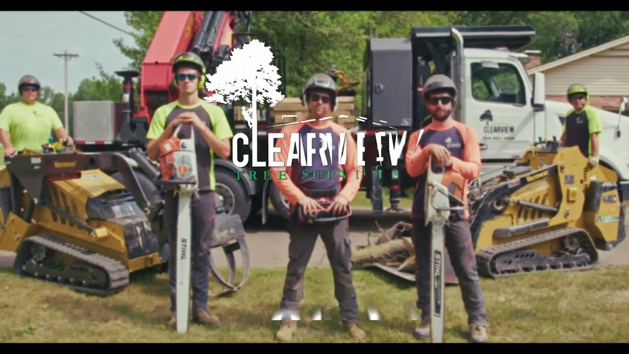 Clearview Tree Service: Experience the difference