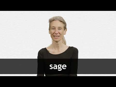 English Translation of “SAGE” | Collins French-English Dictionary