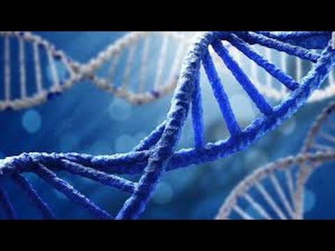 DNA structure powerpoint presentation