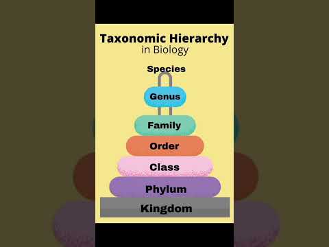 taxonomy biology#shorts #education #trending #yt #viralvideo