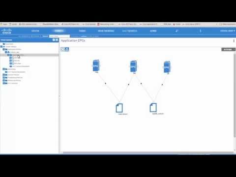 Integrated Application Delivery and DDoS Protection with Cisco ACI - Radware