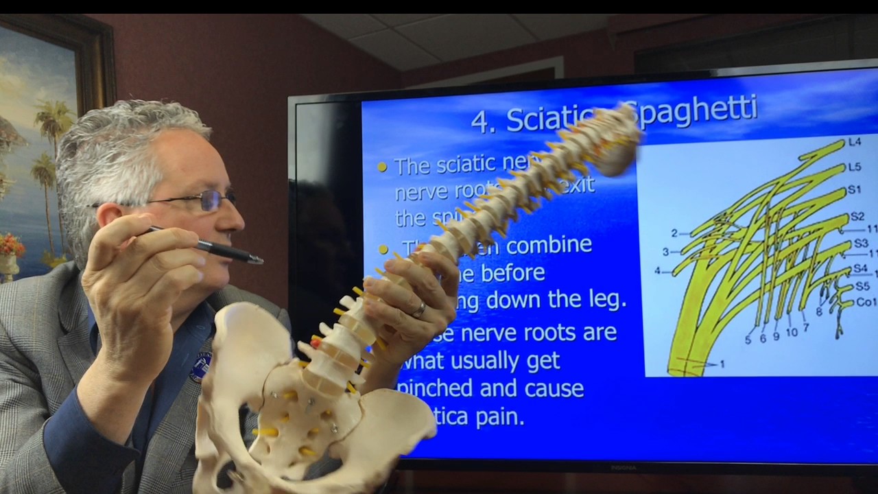 10 Fascinating Facts You Need To Know About Sciatica