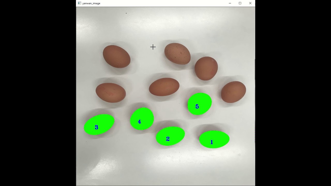 Use OpenCV to count eggs