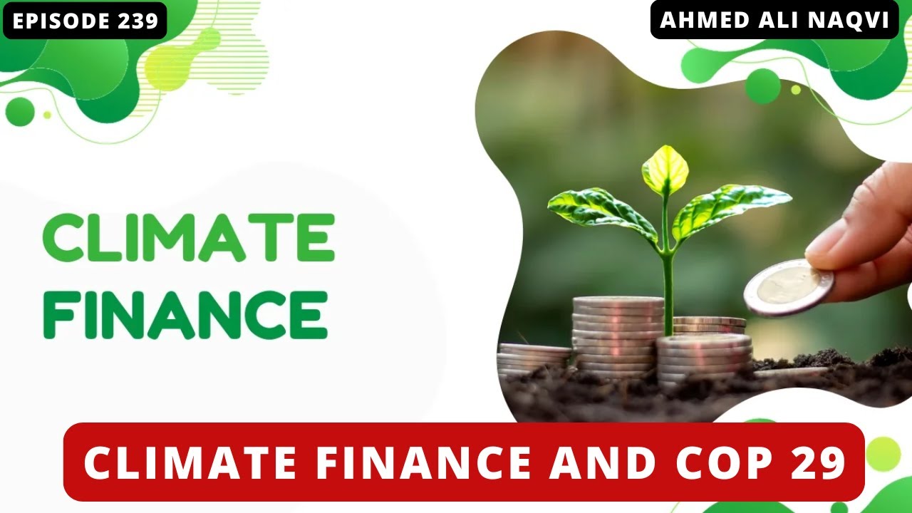 Understanding the Climate Finance Deal at COP 29 | Galaxy.ai