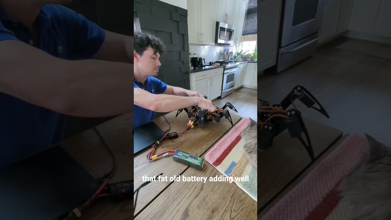 Robot Project: https://ogordillo.github.io/ROS2_Conversion_Freenove_Big_Hexapod_Robot_Raspberry_Pi/