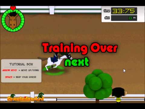Paarden race - Paarden Spelletjes - titter.nl