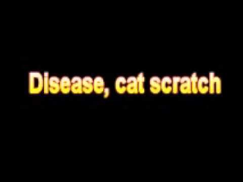 What Is The Definition Of Disease, cat scratch - Medical Dictionary Free Online