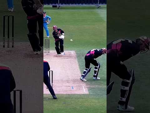 Craziest Caught and Bowled Ever?! ๐ฑ