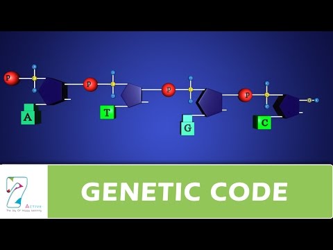 GENETIC CODE
