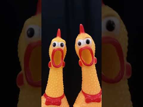 Dancing Queen - Featuring Mr. Chicken Official