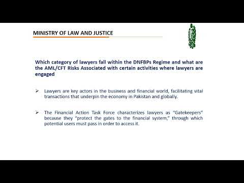 Which category of lawyers fall within the DNFBPs Regime