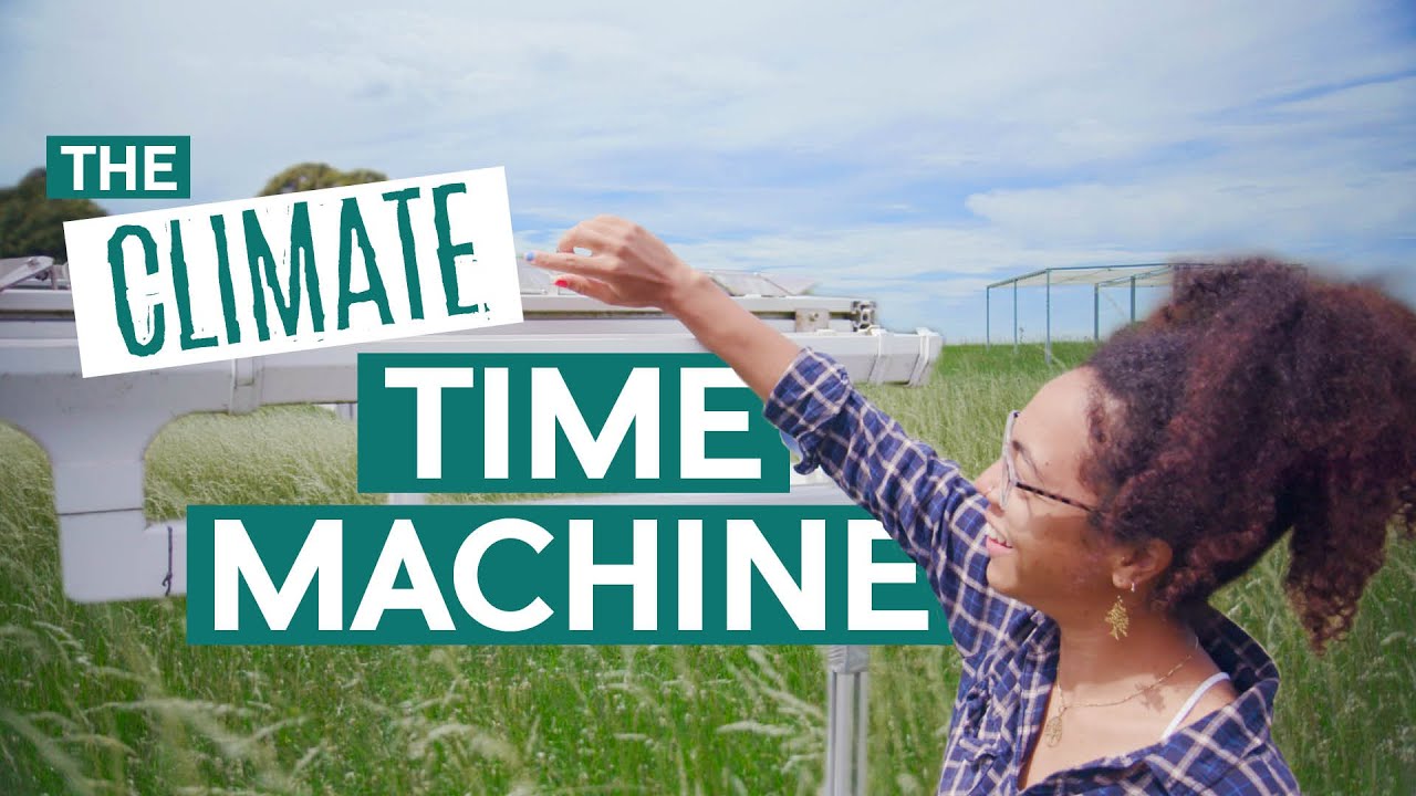The Climate Time Machine | Wytham Woods