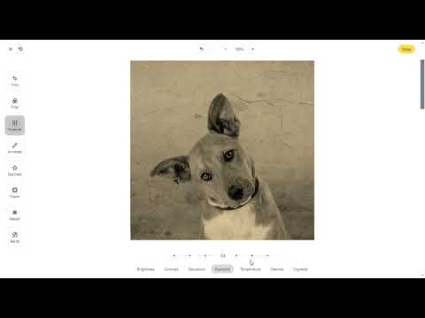 BgEraser: Free Online Background Remover π€ AI-based tool review, tutorial