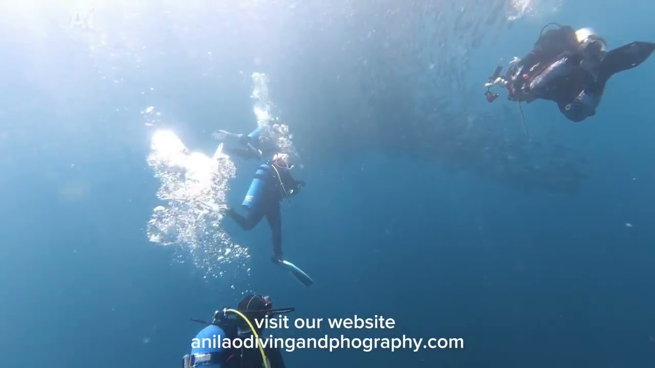 Another dive adventure 