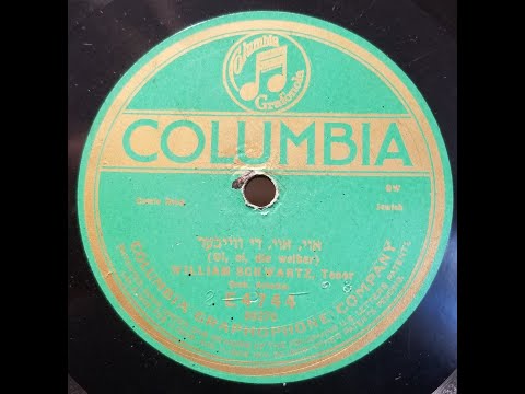 YIDDISH SONG: William Schwartz / Oi, Oi, die Weiber [אוי, אוי, די ווייבער] / Columbia E 4744 / 1920
