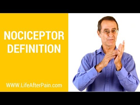 Nociceptor Definition