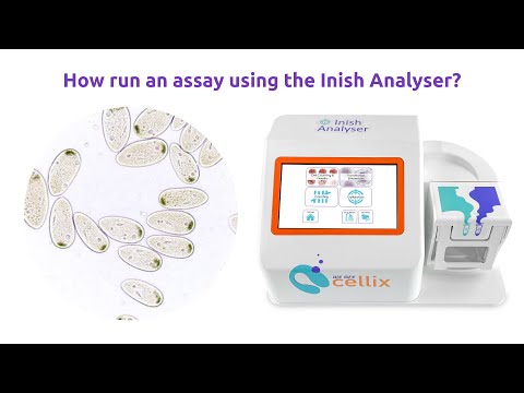 How to run an assay for Yeast cells | Inish Analyser | Cell Counting and Viability