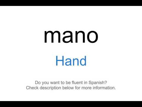 How to say "Hand" in Spanish | mano