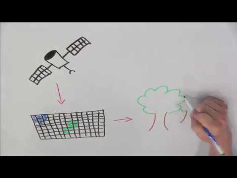 Satellite Data Fusion for Ecologists and Conservation Scientists ...