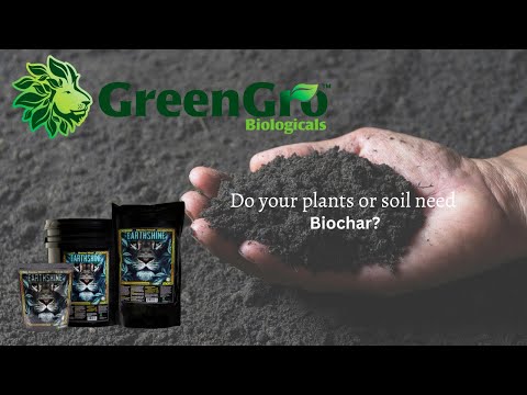 Do you plants or soil need Biochar?