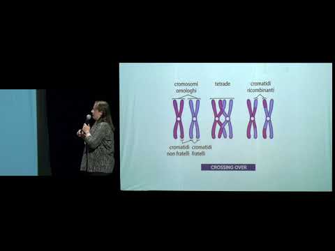 Matescienze Day 2019 | L’immagine in Matematica e Scienze | Paola Ethel Demarchi