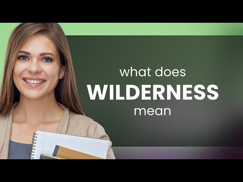 Wilderness • WILDERNESS definition