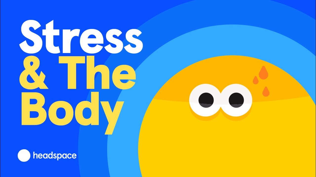 The Science of Stress: How Does Stress Affect Our Brains and Bodies?