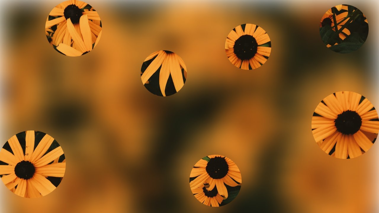 Background Reveal Effect(Using Mask Image Property in CSS)