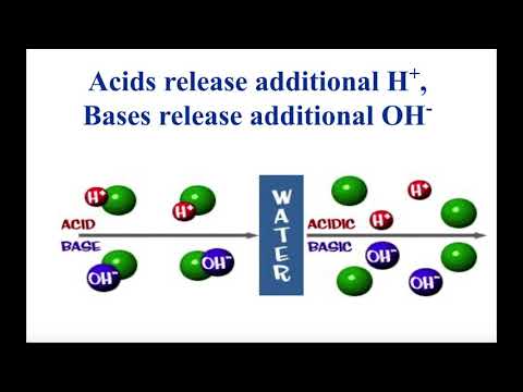 Ch 2.5 BioH Lecture - Acid, Bases, pH (corrected slide)