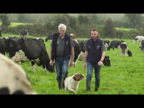 Shane Fitzgerald - Future Farmer Virtual Farm Walk