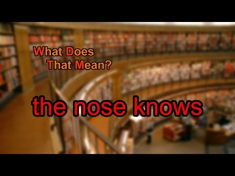 What does the nose knows mean?