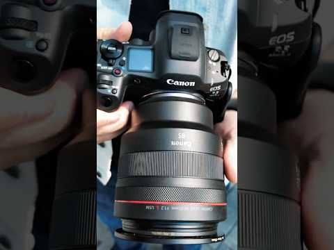 Bokeh Challenge Canon RF 85mm f1.2 vs RF 28-70mm f2 #rf85f12 #rf2870f2 #eosr5markii #photography