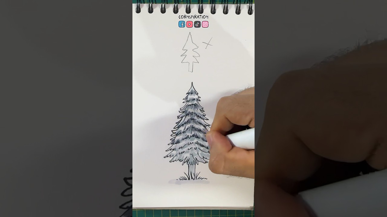 How to draw pine trees 🌲 #drawing #art #tutorial #drawing #art